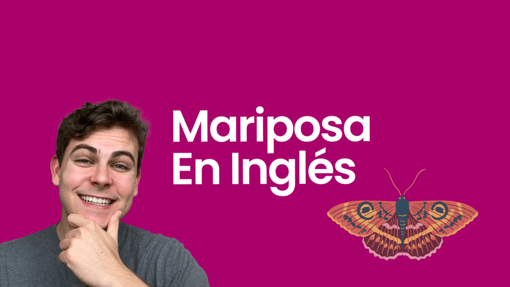 Mariposa en Inglés: Traducción, expresiones y curiosidades